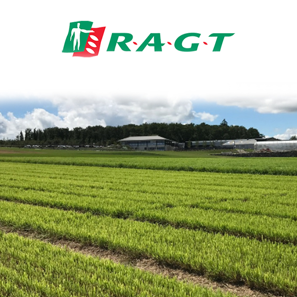 Mérieux NutriSciences AQ (MNAQ) (Formerly BVAQ Seed Lab & Certification ...